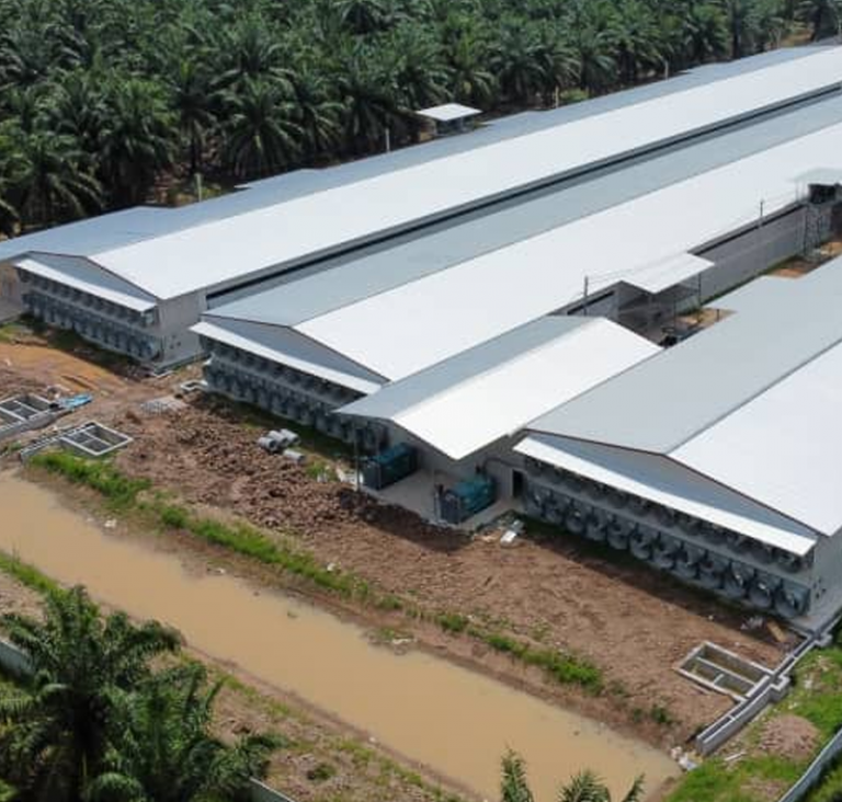 D'Khairan Farm Sdn Bhd - Ayam Segar Dari Ladang